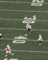 Texas Longhorns GIFs on GIPHY - Be Animated