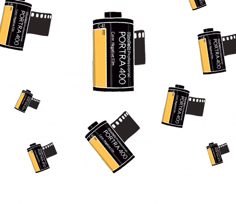 Analog-photo GIFs - Get the best GIF on GIPHY