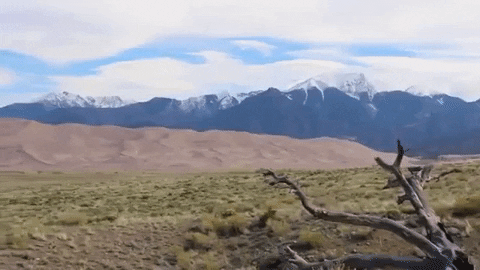 Colorado GIFs - Get the best GIF on GIPHY