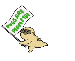 Mochi The Pug Sticker by 157ofgemma for iOS & Android | GIPHY