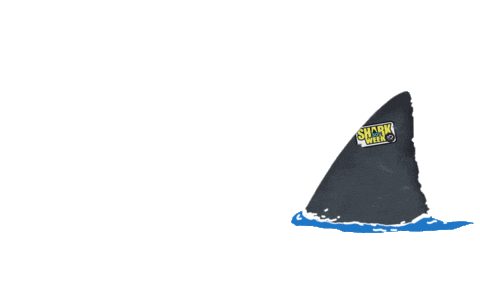 Shark Fin Animated Gif