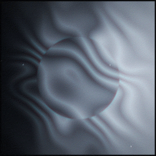 Black And White Wave GIF by Erica Anderson - Find & Share on GIPHY