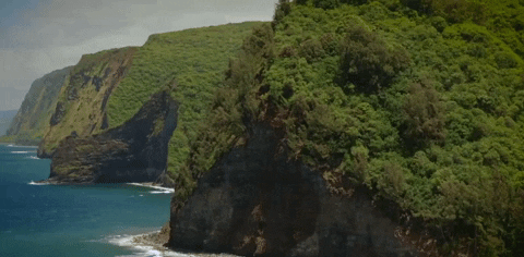 Hawaii-beach-wedding GIFs - Get the best GIF on GIPHY