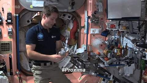 Eating In Space GIFs - Find & Share on GIPHY