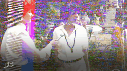 Documentary Now GIF by IFC - Find & Share on GIPHY