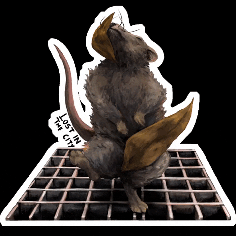 New York Rat GIFs - Find & Share on GIPHY