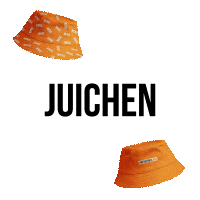 Juichen met Daan GIFs on GIPHY - Be Animated