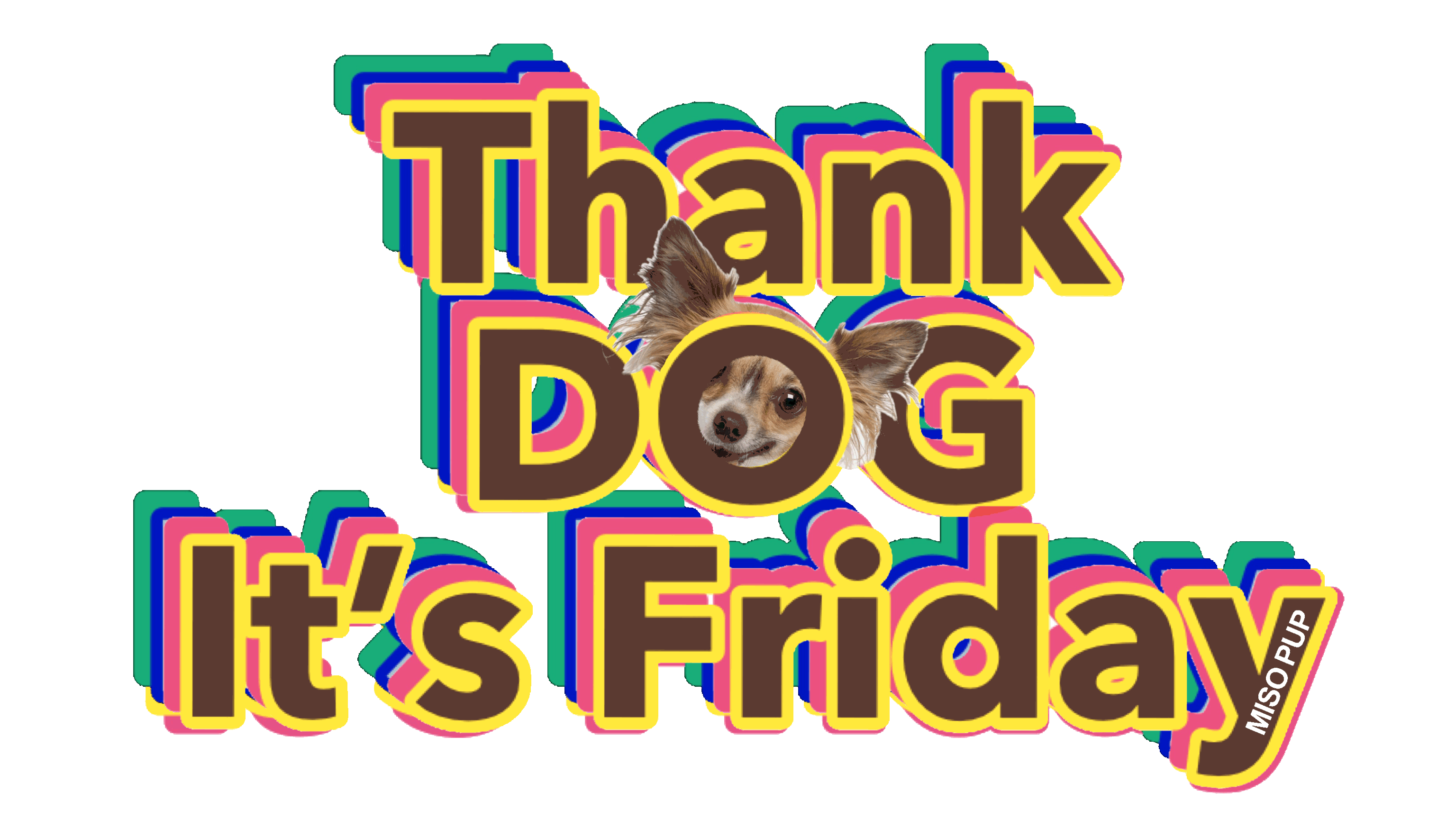 Dog Friday Sticker by MISO PUP for iOS & Android | GIPHY