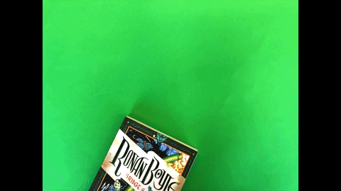 Ronan Boyle And The Bridge Of Riddles GIFs - Find & Share on GIPHY