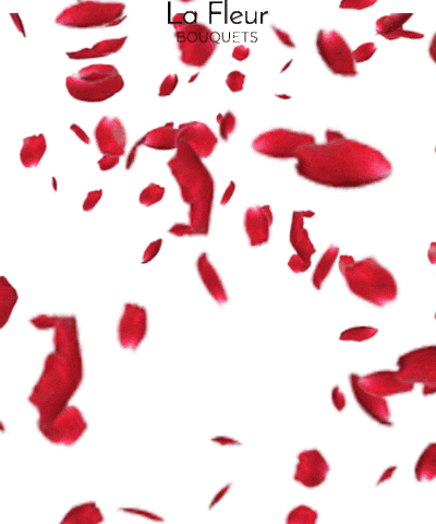 Flower Petals Falling Gif