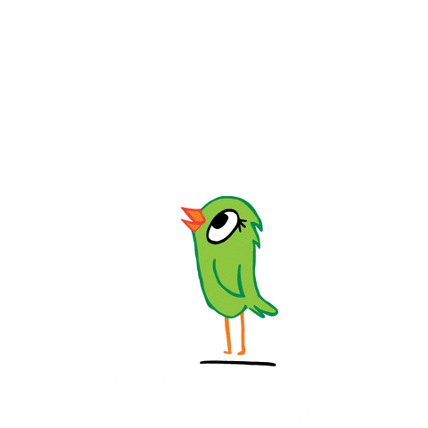 Fun Bird GIF by Emily MacKinnon - Find & Share on GIPHY