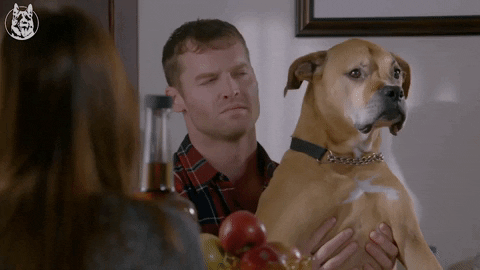 Letterkenny GIF by CraveTV - Find & Share on GIPHY
