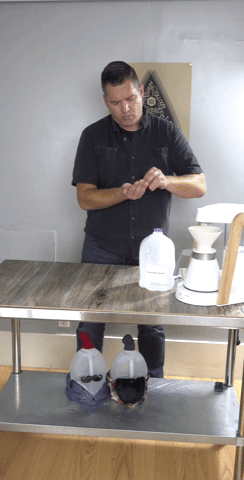 Third-wave-coffee GIFs - Get the best GIF on GIPHY