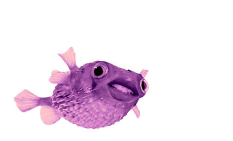 Hello Fish Sticker by SirFish for iOS & Android | GIPHY