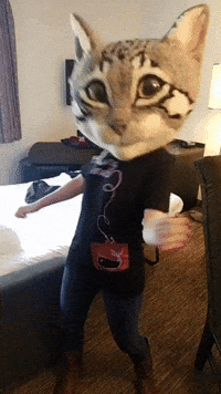 Funny Dancing Cat Gif With Sound
