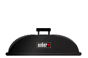 Weber GIFs on GIPHY - Be Animated