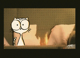 Cat On Fire GIFs - Find & Share on GIPHY