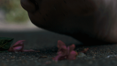 Ivy Moxam GIF by BBC First Australia - Find & Share on GIPHY