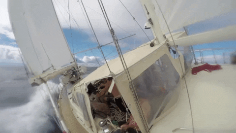 Sailing Sailboat GIF - Find & Share on GIPHY