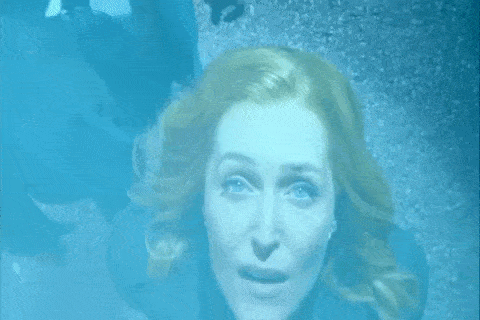 Fox Tv Eyes GIF by The X-Files - Find & Share on GIPHY