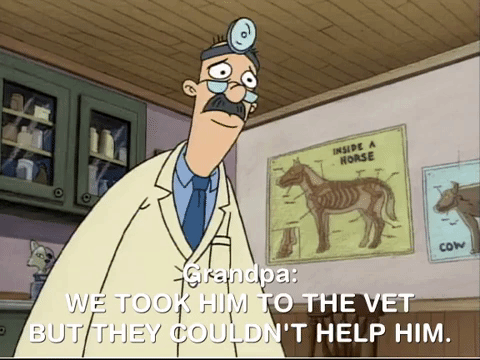 The-vet GIFs - Find & Share on GIPHY