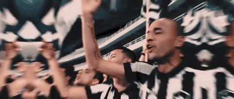 Botafogo De Futebol E Regatas GIF by Botafogo - Find & Share on GIPHY