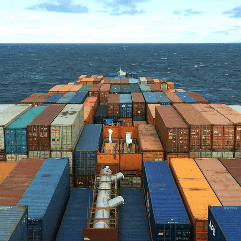 Bwelt GIFs - Find & Share on GIPHY