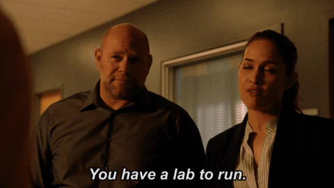 You-have-a-lab-to-run GIFs - Get the best GIF on GIPHY