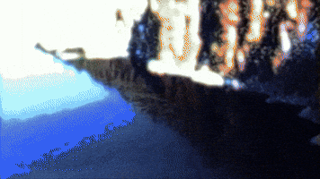 Oil Spill GIFs - Find & Share on GIPHY