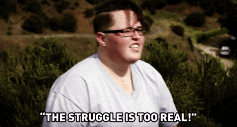 The Struggle Is Real Gif