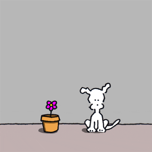 Chippy the Dog GIF - Find & Share on GIPHY