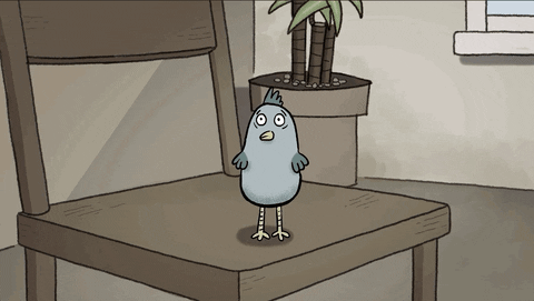 Toronto International Film Festival Animal Behaviour GIF by TIFF - Find ...