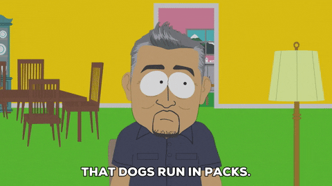 Dogs Pact GIF by South Park - Find & Share on GIPHY