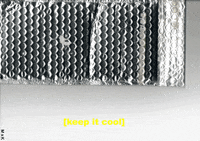 Best branch GIFs - Primo GIF - Latest Animated GIFs