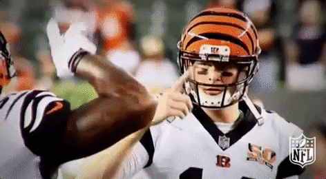Cincinnati Bengals Football GIF by NFL - Find & Share on GIPHY
