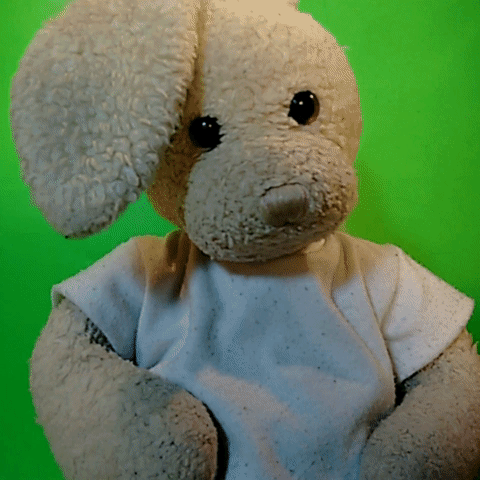 Bunny Dancing GIF by Zackary Rabbit - Find & Share on GIPHY