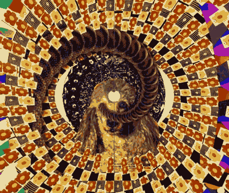 Interference-patterns GIFs - Get the best GIF on GIPHY