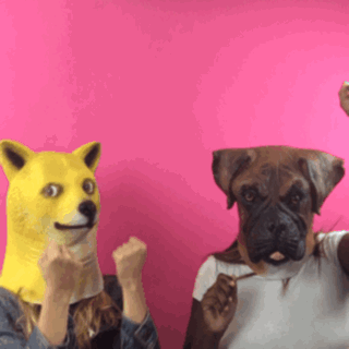 Dogs Dancing GIF by Fashion Institute of Design & Merchandising - Find ...