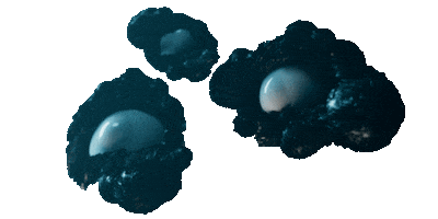 VCT 22 Masters Reykjavík GIFs on GIPHY - Be Animated