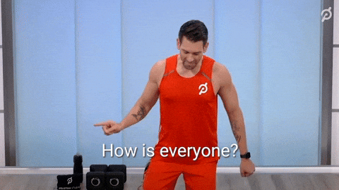 How Is Everyone GIFs - Get the best GIF on GIPHY