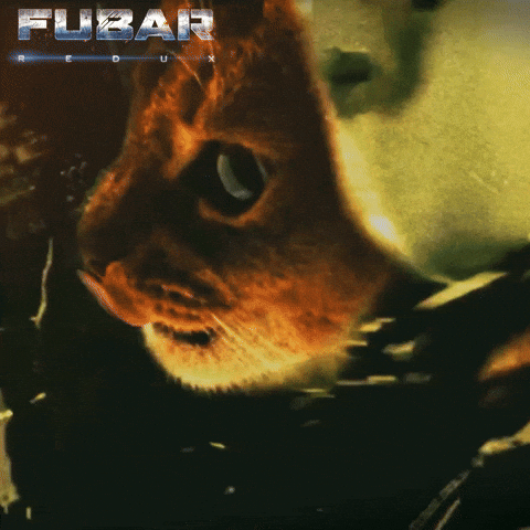 Call Of Duty Memes GIFs - Find & Share on GIPHY