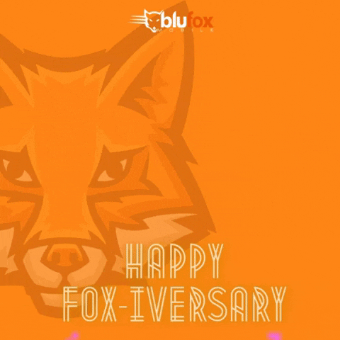 Happy Anniversary Fox GIF by Blufox Mobile - Find & Share on GIPHY
