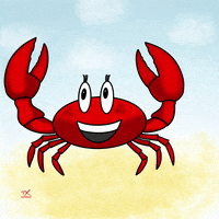 Bewegte Tier Gifs 300 Bewegliche Tier Gifs Ideen | Tiere, Gifs,