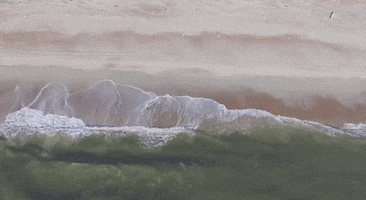 St Augustine Florida GIFs - Find & Share on GIPHY