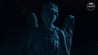 Weeping Angel Camera Gif