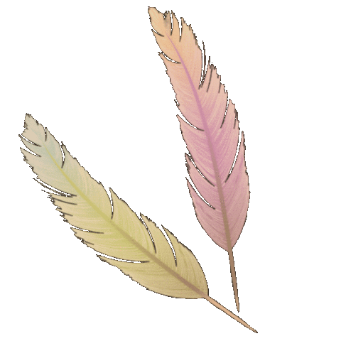 Animated Feather Gif