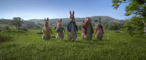 Peter Rabbit GIF - Find & Share on GIPHY