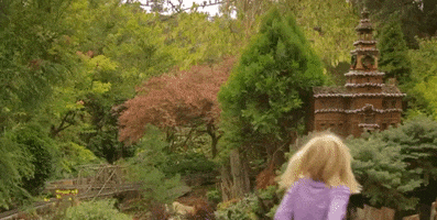 South Hills Pennsylvania GIFs - Find & Share on GIPHY