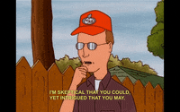 Dale Gribble Government