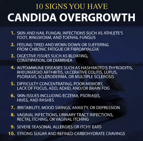 Candida-overgrowth GIFs - Get the best GIF on GIPHY